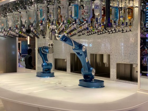 40+ Must-Do Activities Aboard a Royal Caribbean Cruise | Cruzely.com