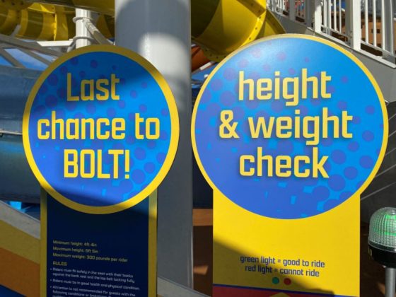 What to Know About Carnival’s BOLT Roller Coaster Before You Ride ...