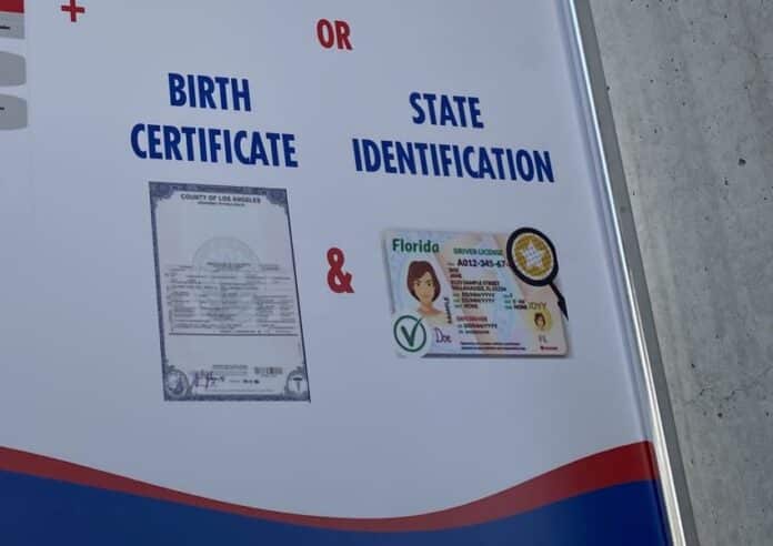 Answered: Do You Need a Real ID to Cruise? | Cruzely.com