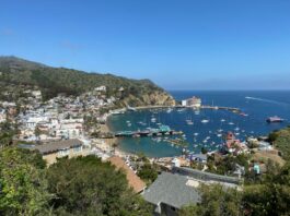 Catalina on a Cruise: What to See, Do, & Know For Your Visit | Cruzely.com