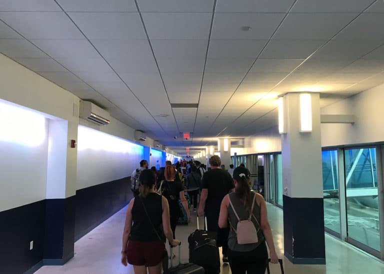 The Must-Read First-Time Cruise Guide for New Passengers | Cruzely.com