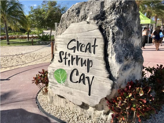 17 Tips, Tricks and Things to Know About Great Stirrup Cay (Norwegian's ...