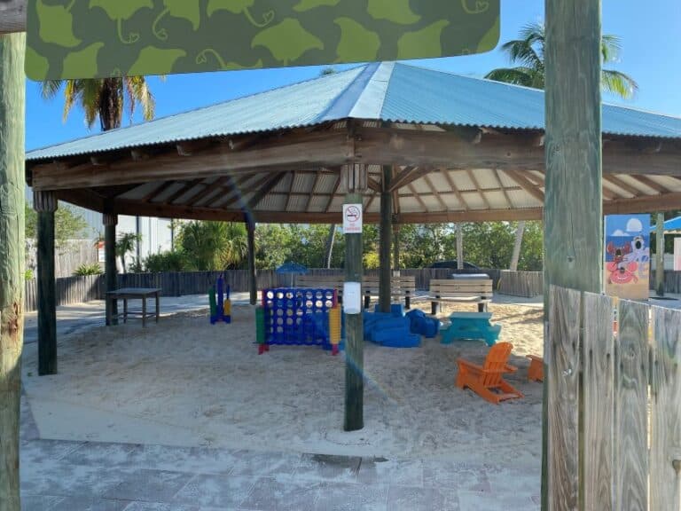 Princess Cays: The 10 Must-Know Things Before You Visit on a Cruise ...