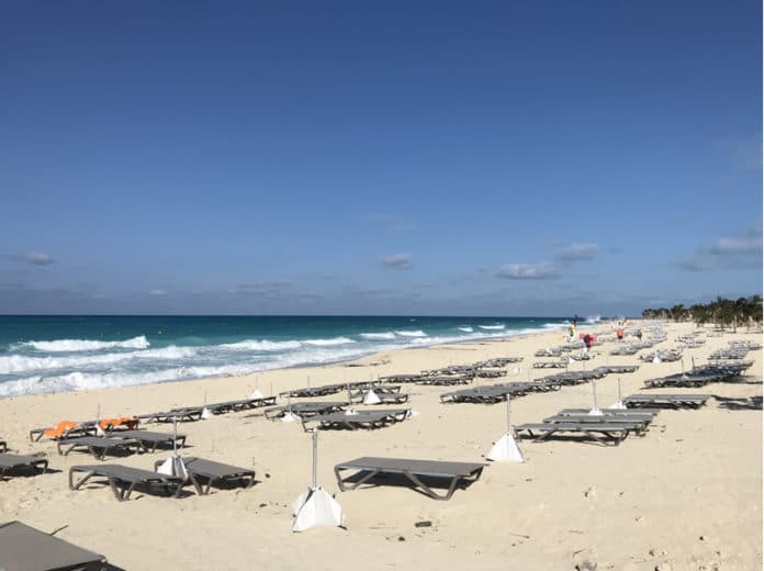 12+ Ocean Cay Tips & Things to Know (MSC's Private Island) | Cruzely.com