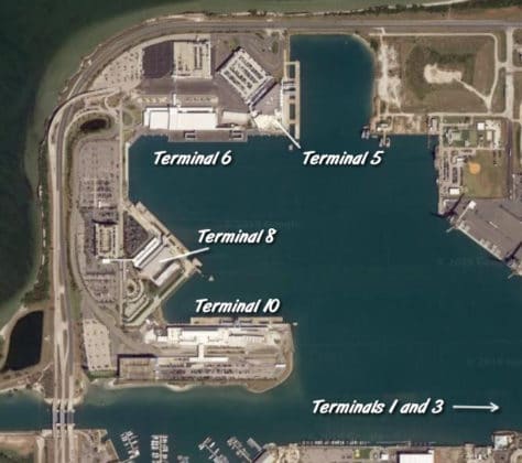 Complete Guide to Cruising From Port Canaveral | Cruzely.com