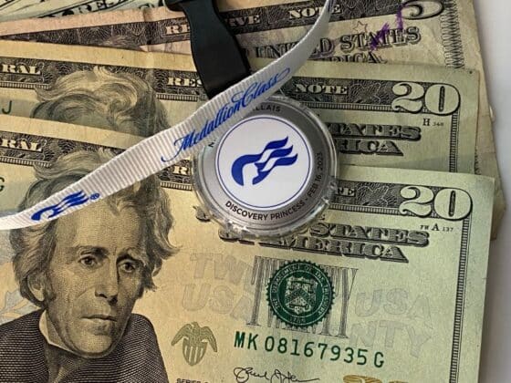 Princess Cruise Gratuity (Tips) Full Guide: How Much, How They Work ...